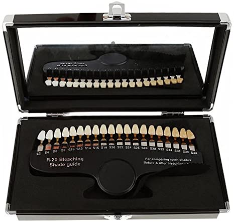 R-20 Professional Shade Guide ⋆ The Unicorn Beauty Depot